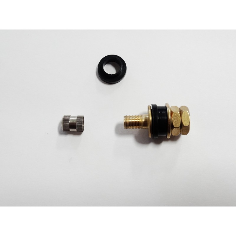 TWO Brass Low Profile Flush Mount Ag Farm Implement Tubeless Tire Valve ...